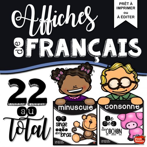 Affiches de français - Profs & Soeurs