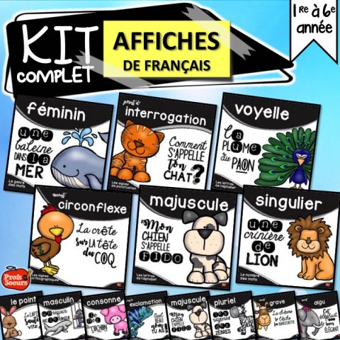 Affiches de français - Profs & Soeurs